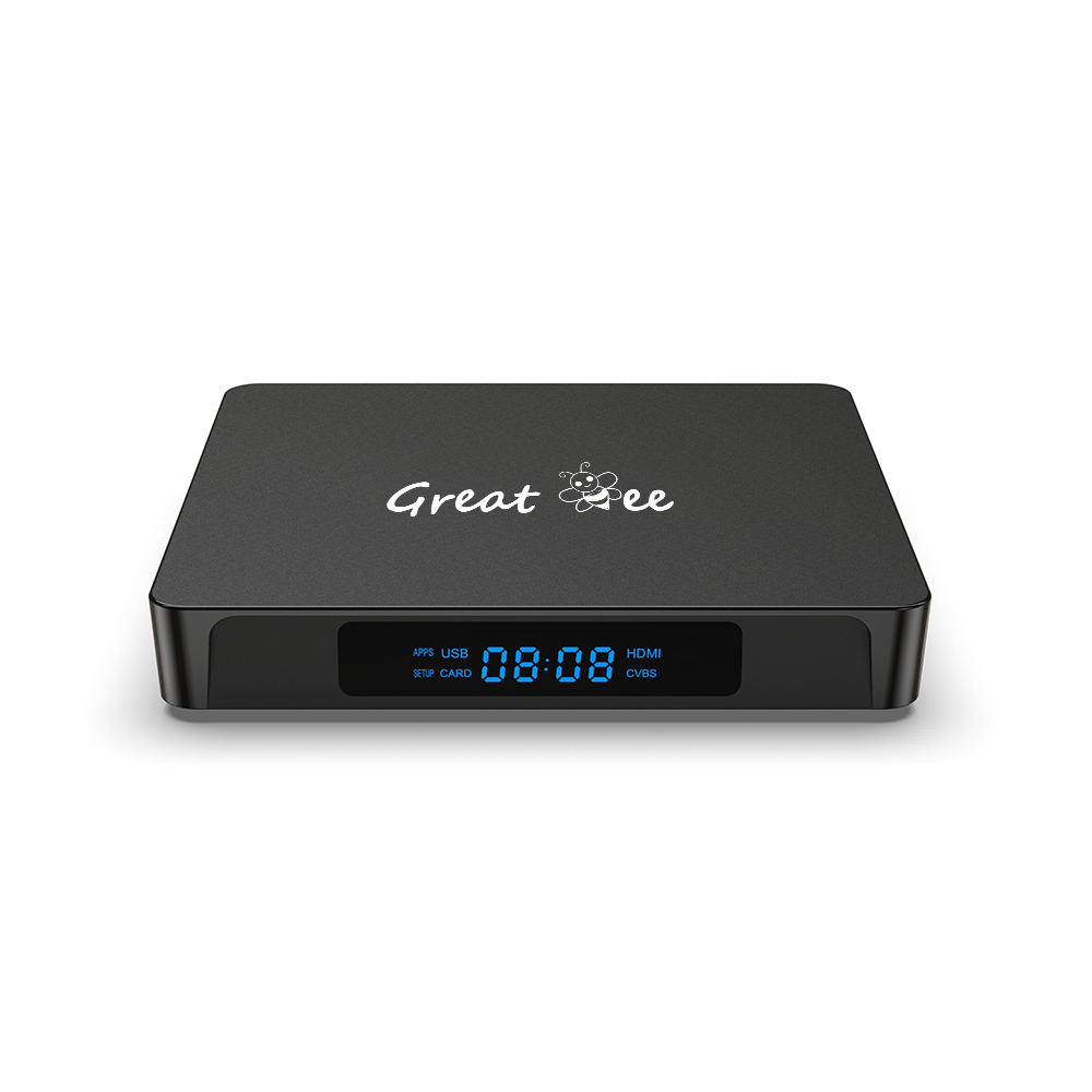 Great Bee Arabic TV Box One Year Model